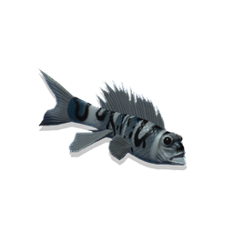 Fish - No Man's Sky Handbook