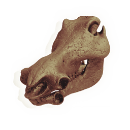 Fossils - No Man's Sky Handbook