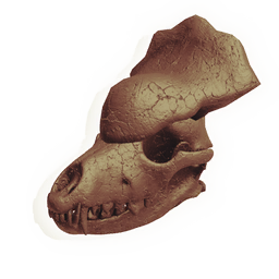 Fossils - No Man's Sky Handbook