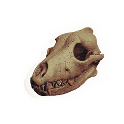Fossils - No Man's Sky Handbook