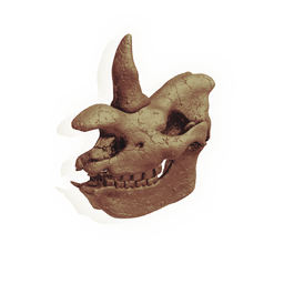 Fossils - No Man's Sky Handbook