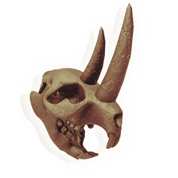 Fossils - No Man's Sky Handbook